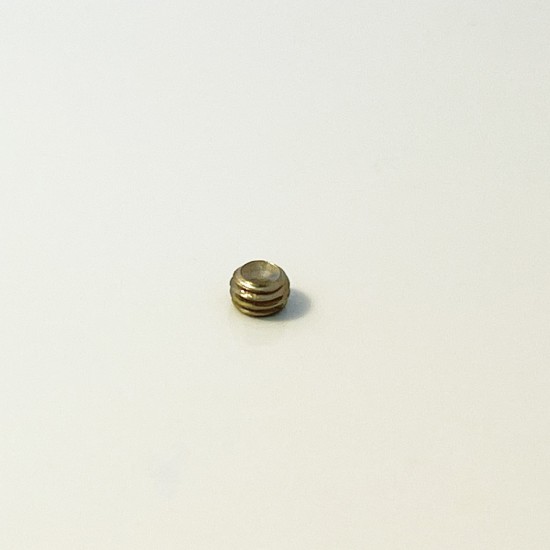Lever Retaining Screw