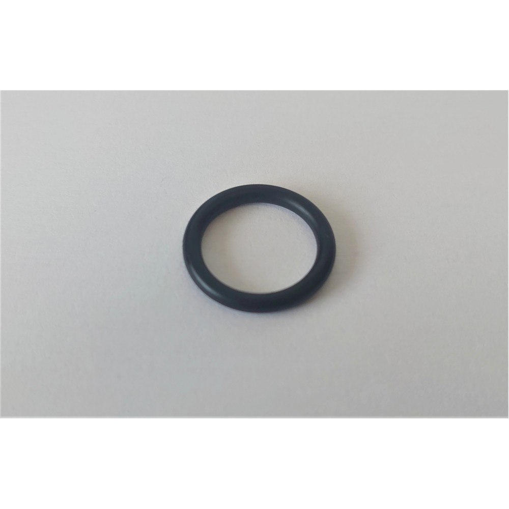 Spout O-Ring x1